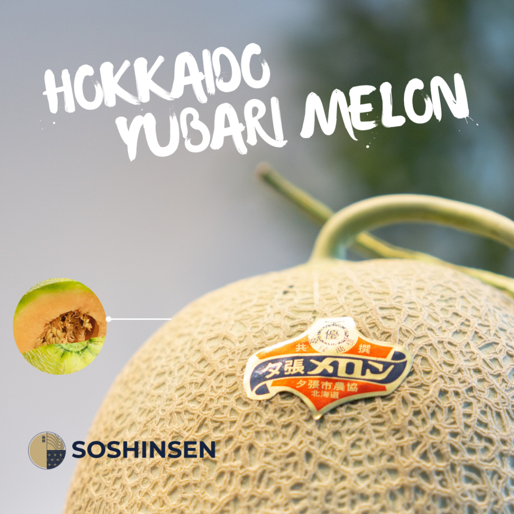 [Pre-order] Hokkaido Yubari King Melon (Pcs, 1.5 to 1.8kg) - Soshinsen