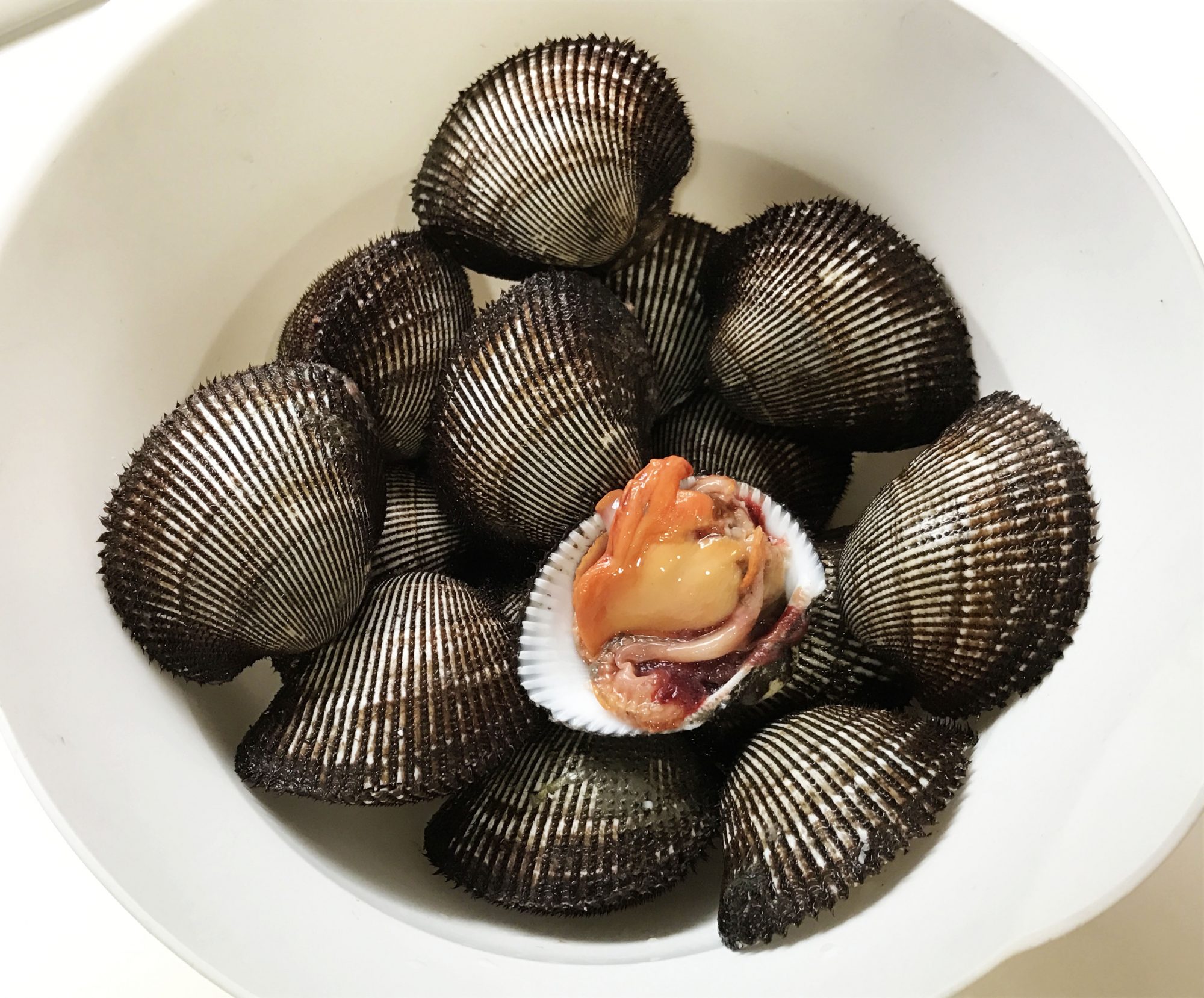 Akagai 赤貝 | Live Arkshell Shellfish | Blood Clams Supplier