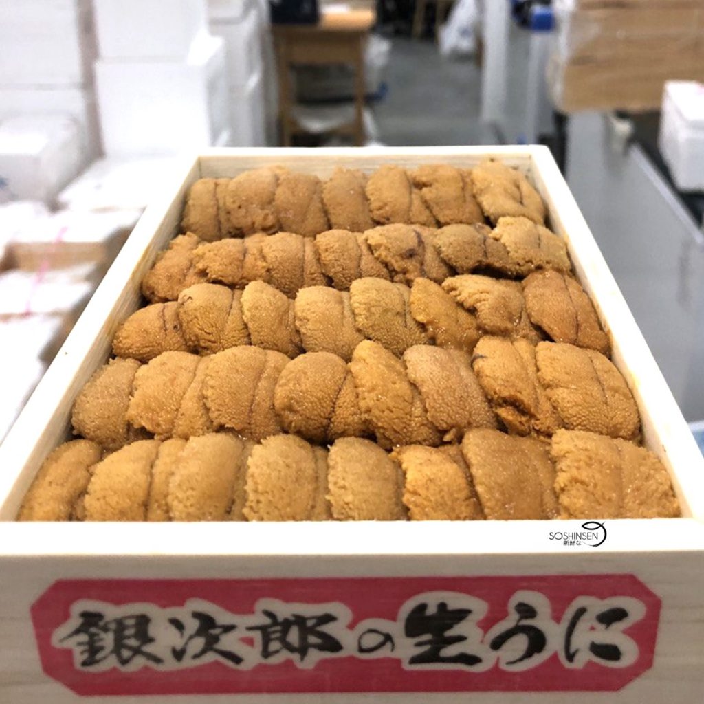 Guide to Delicate Sea Urchins (Japanese Uni) in Singapore