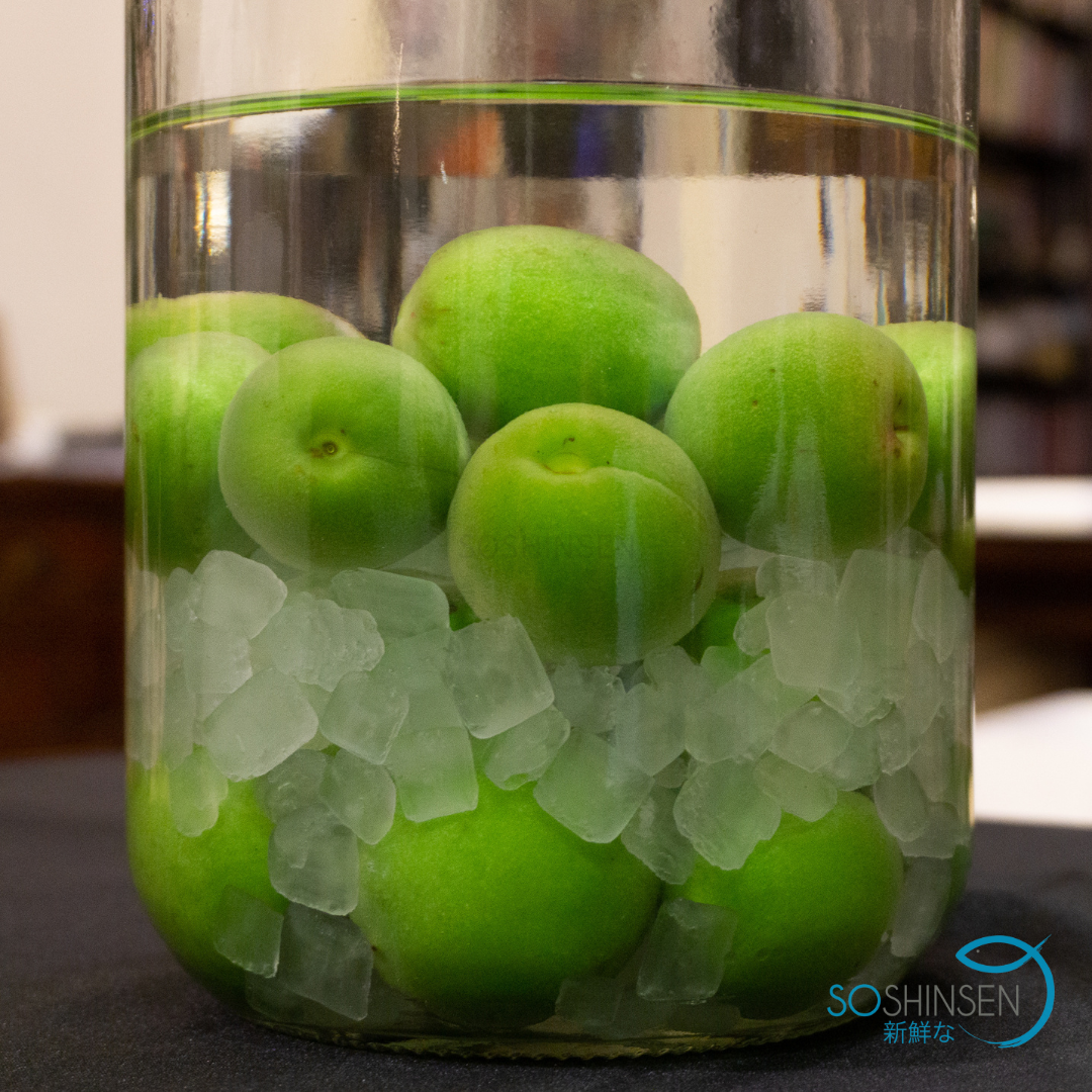 [Pre-order] Premium Wakayama Nanko Ao Ume / Green Plums - Farm Direct ...
