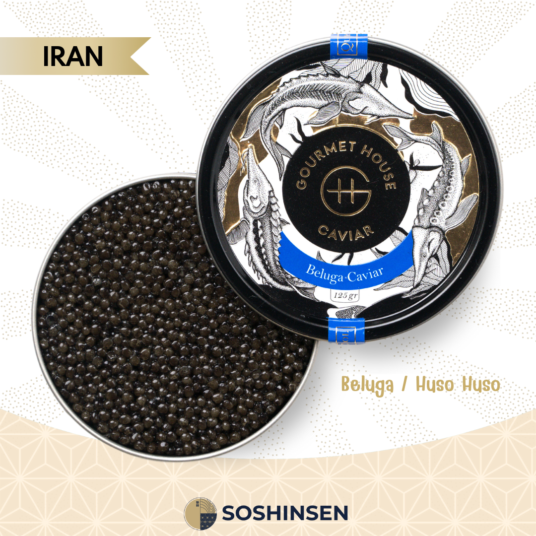 Buy Beluga Caviar Singapore | Premium Iranian Huso Huso